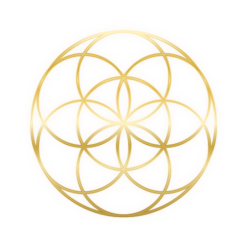 Chakra Assessments Opt-In - Unblocked Book